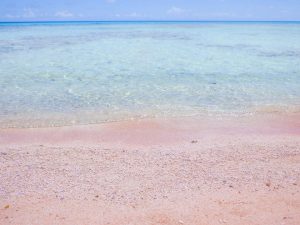 Voyage en Polynésie : Visiter les îles de Rangiroa et Tikehau