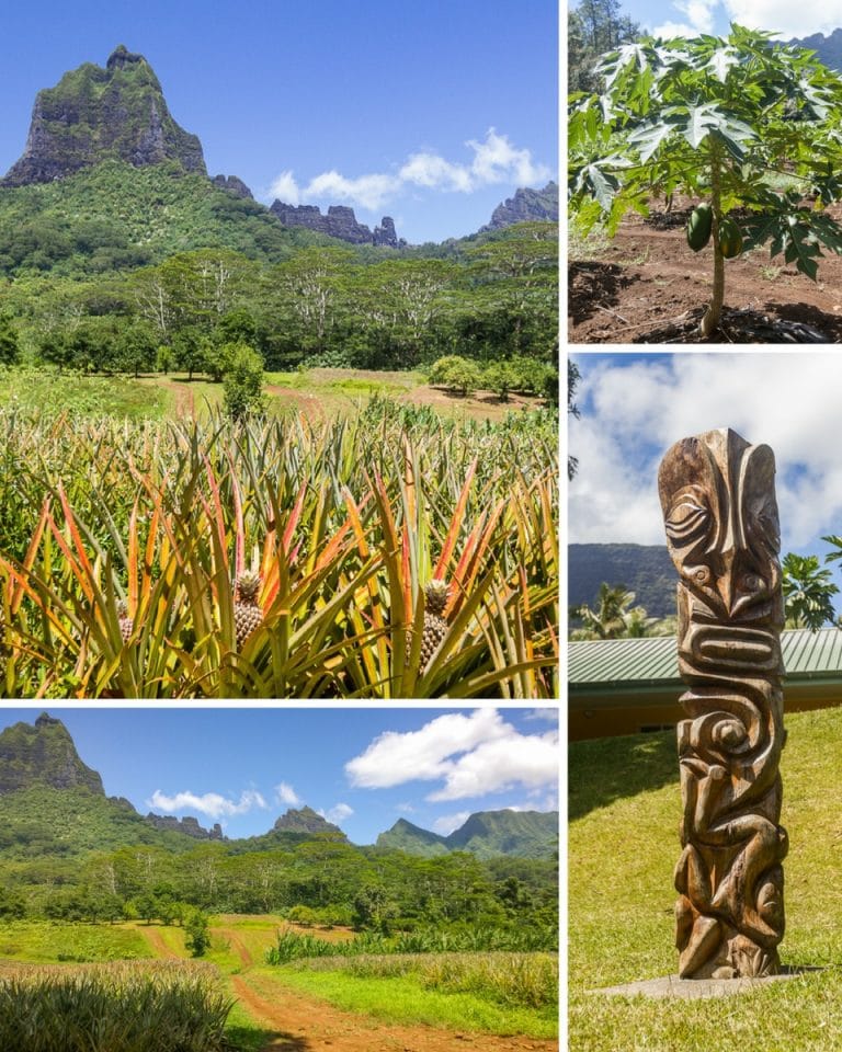 Voyage en Polynésie: Visiter l'île de Moorea en 4 jours