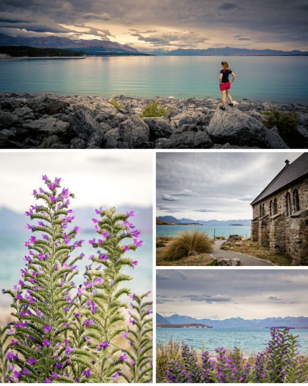 Randonnées dans le parc Mont Cook en Nouvelle Zélande