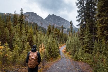 Road-trip au Canada : un circuit de 15 jours dans les Rocheuses