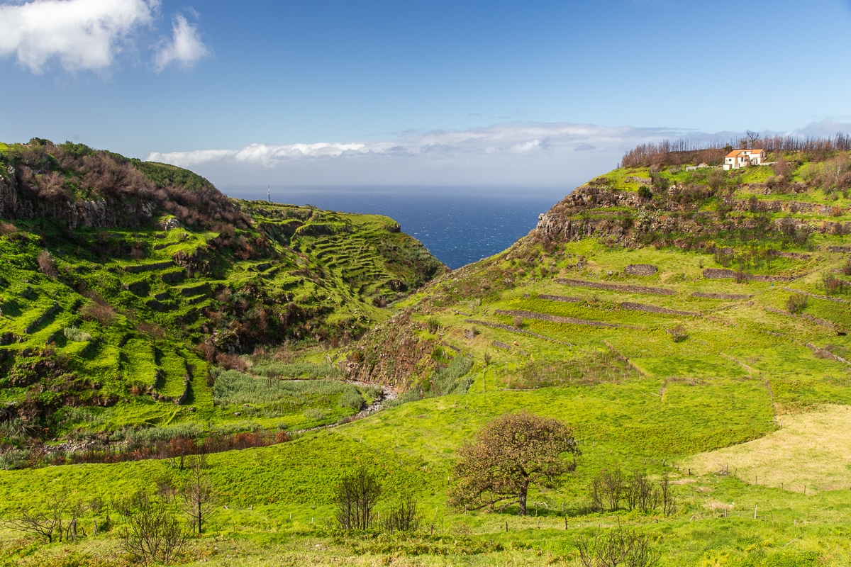 Guide : Visiter Madère en février