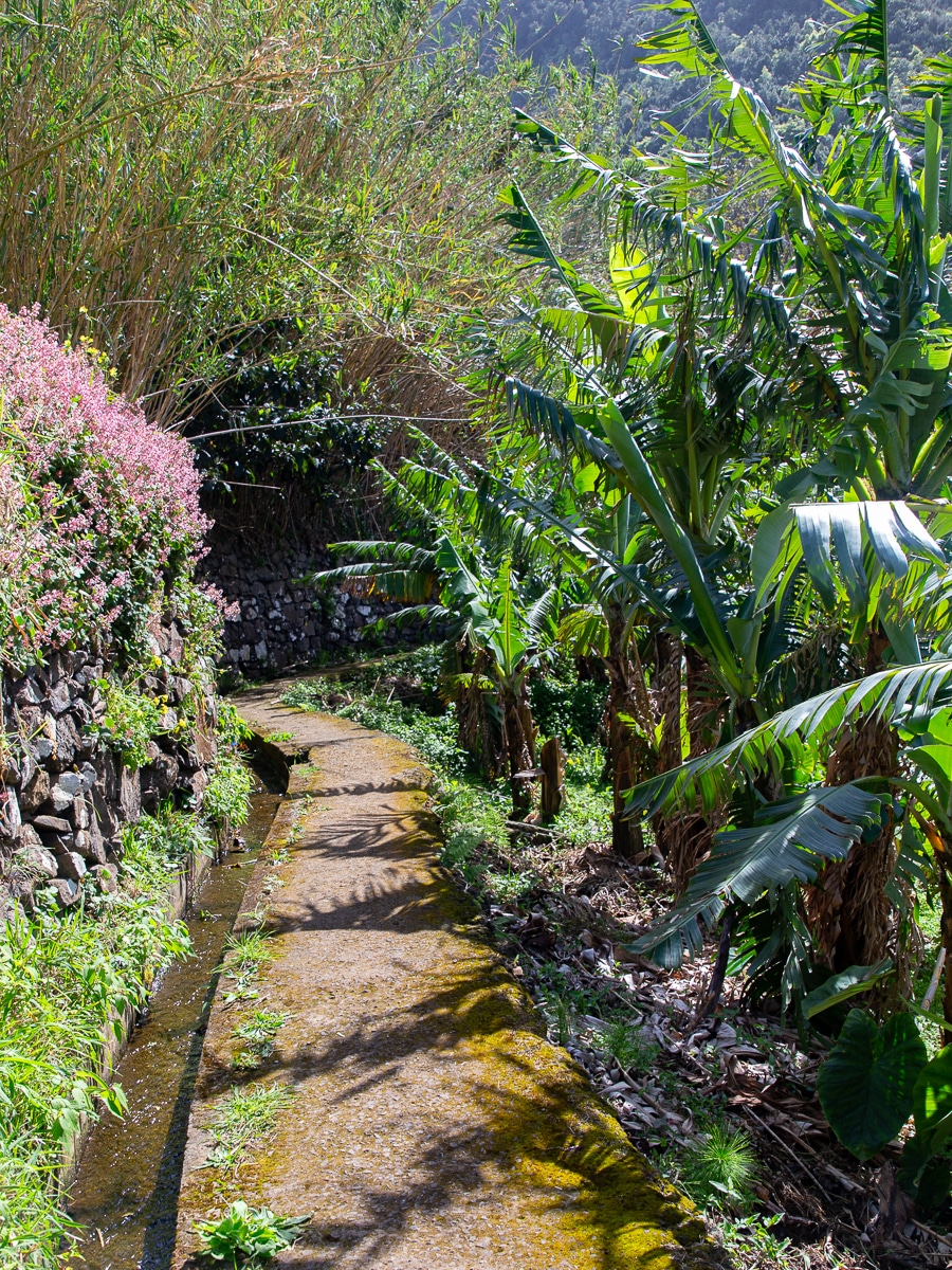 Idées de randonnées à Madère en hiver